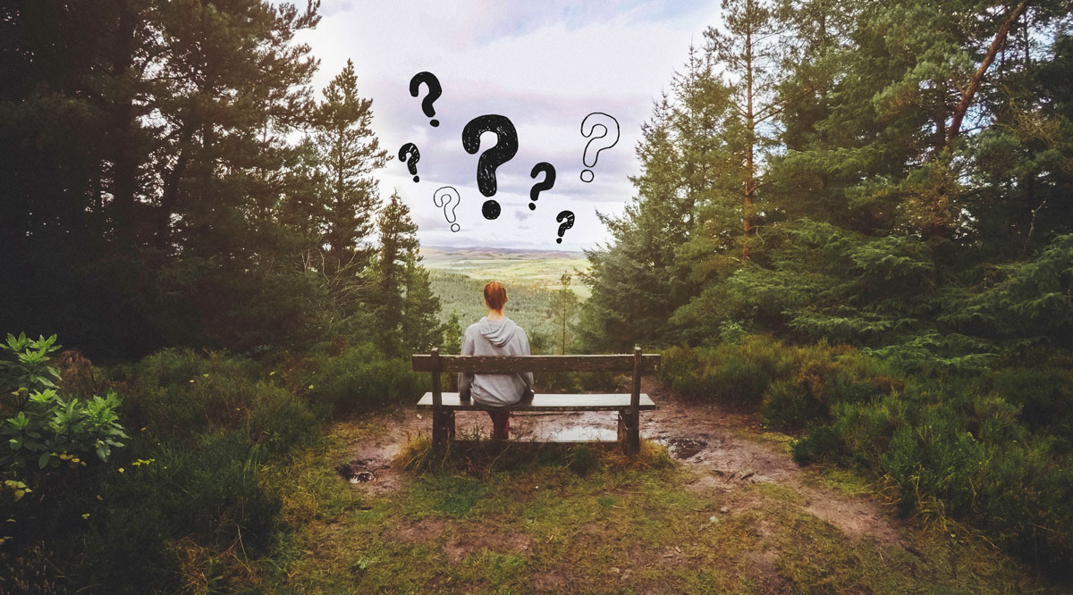 About decision making and the Specialty Indecision Scale (SIS ...